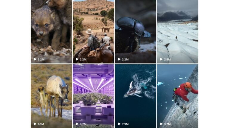 10 Instagram Reels Trends that Will Make You Go Viral in 2024!
